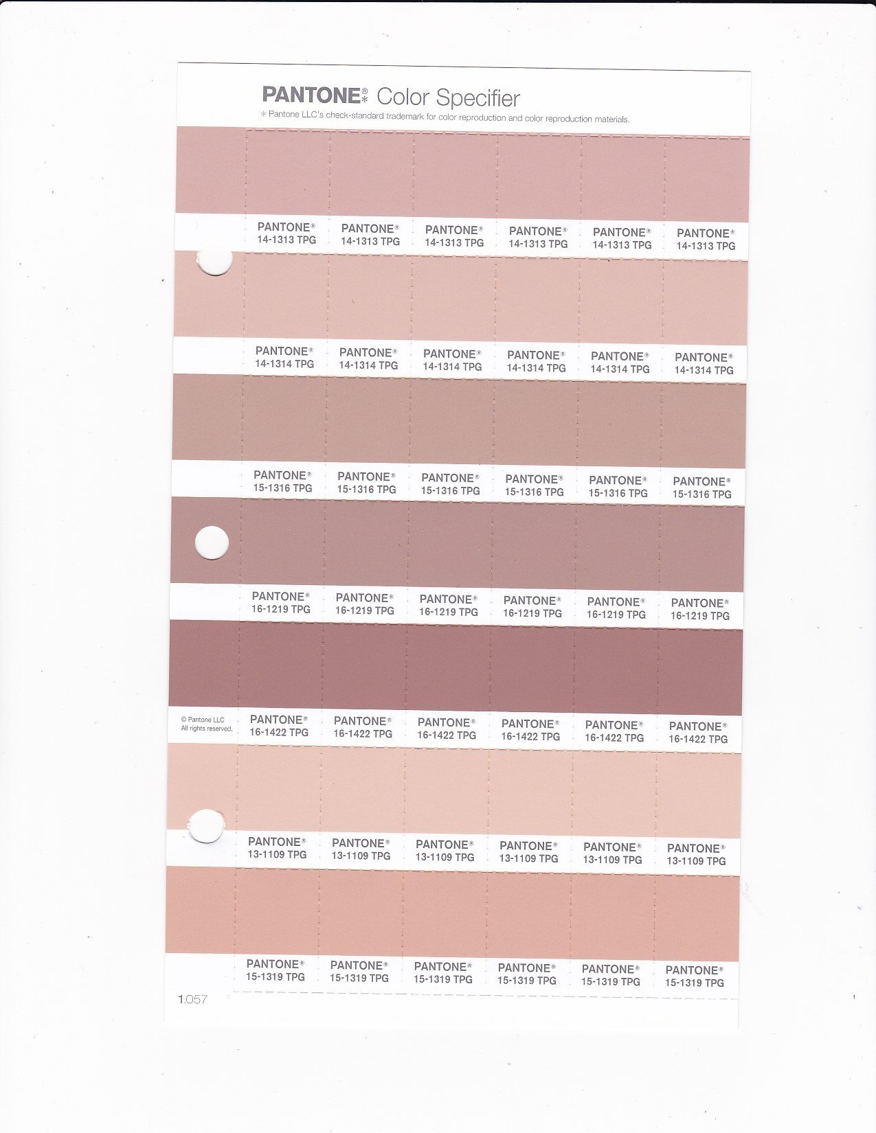PANTONE 16-1422 TPG Cork Replacement Page (Fashion, Home & Interiors ...