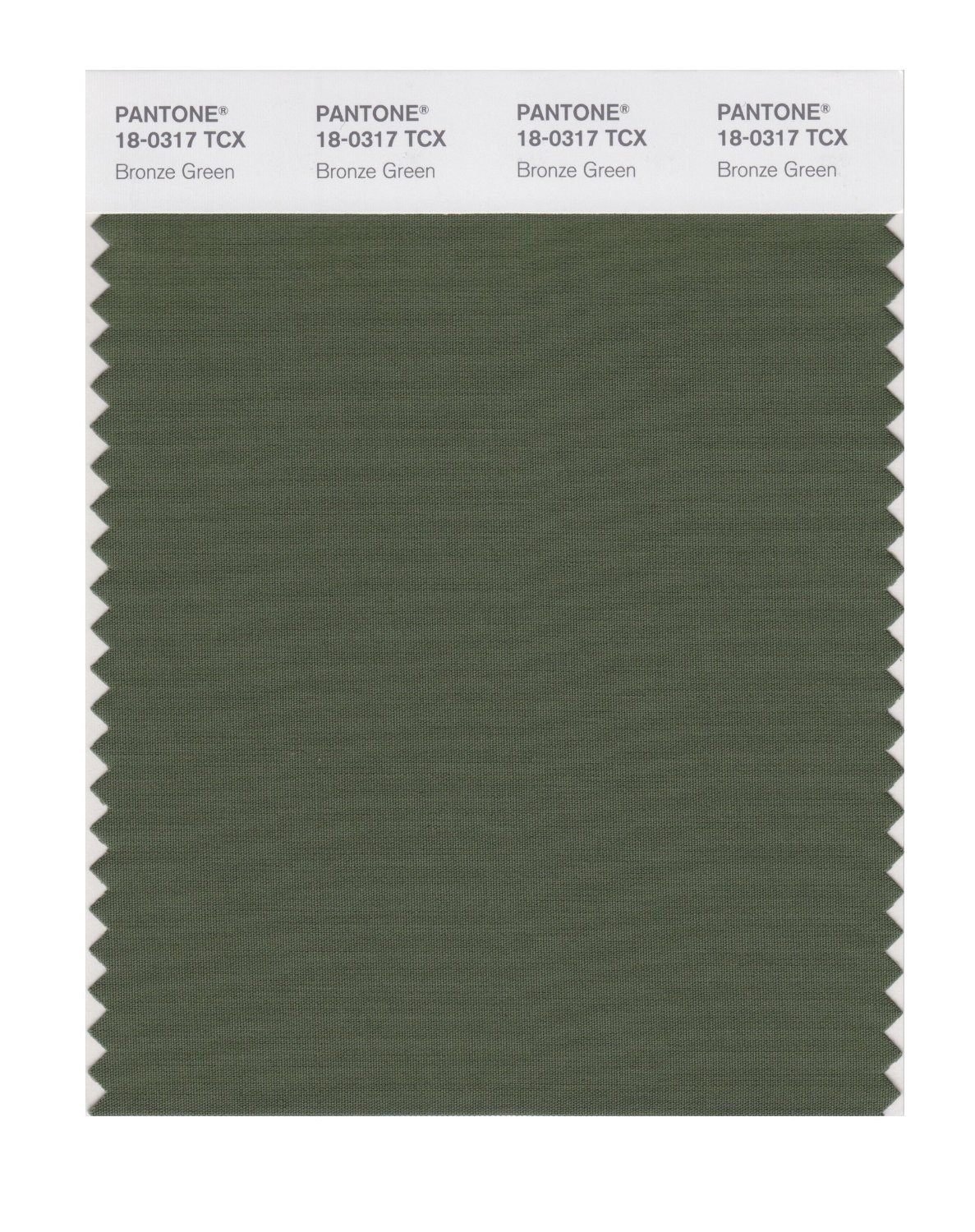 Pantone 18-0317 TCX Swatch Card Bronze Green – Design Info