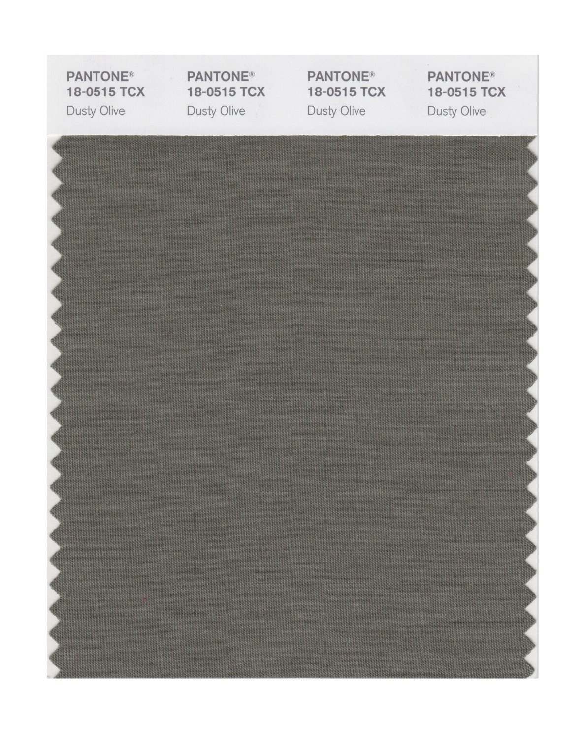 Pantone 18-0515 TCX Swatch Card Dusty Olive – Design Info