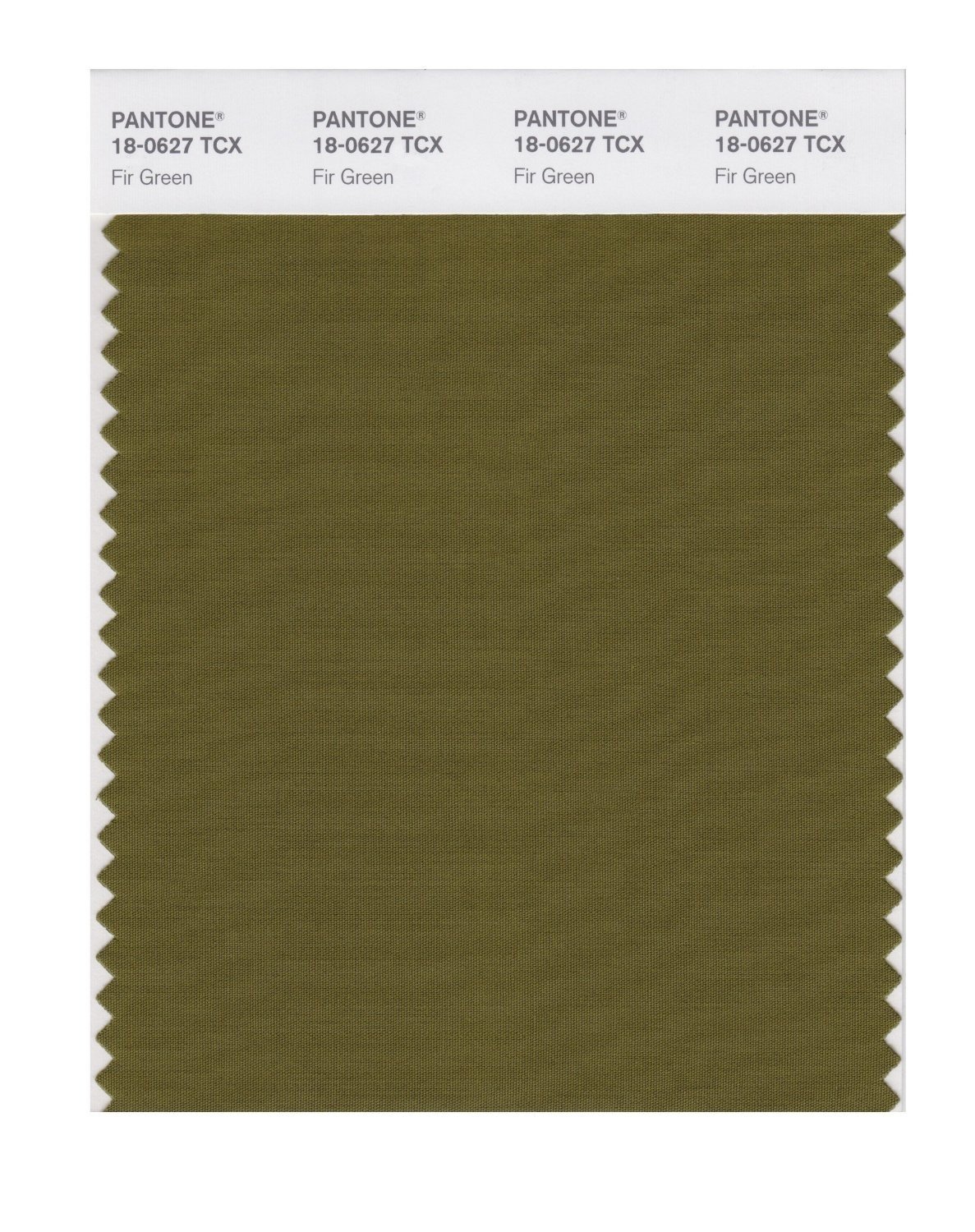 Pantone 18-0627 TCX Swatch Card Fir Green – Design Info