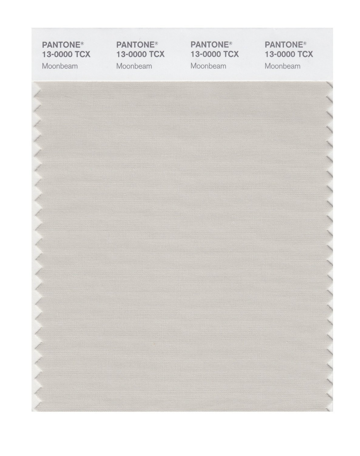 Pantone 13-0000 TCX Swatch Card Moonbeam – Design Info