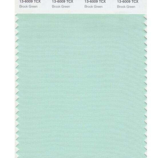 Pantone 17-5936 TCX Swatch Card Simply Green – Design Info