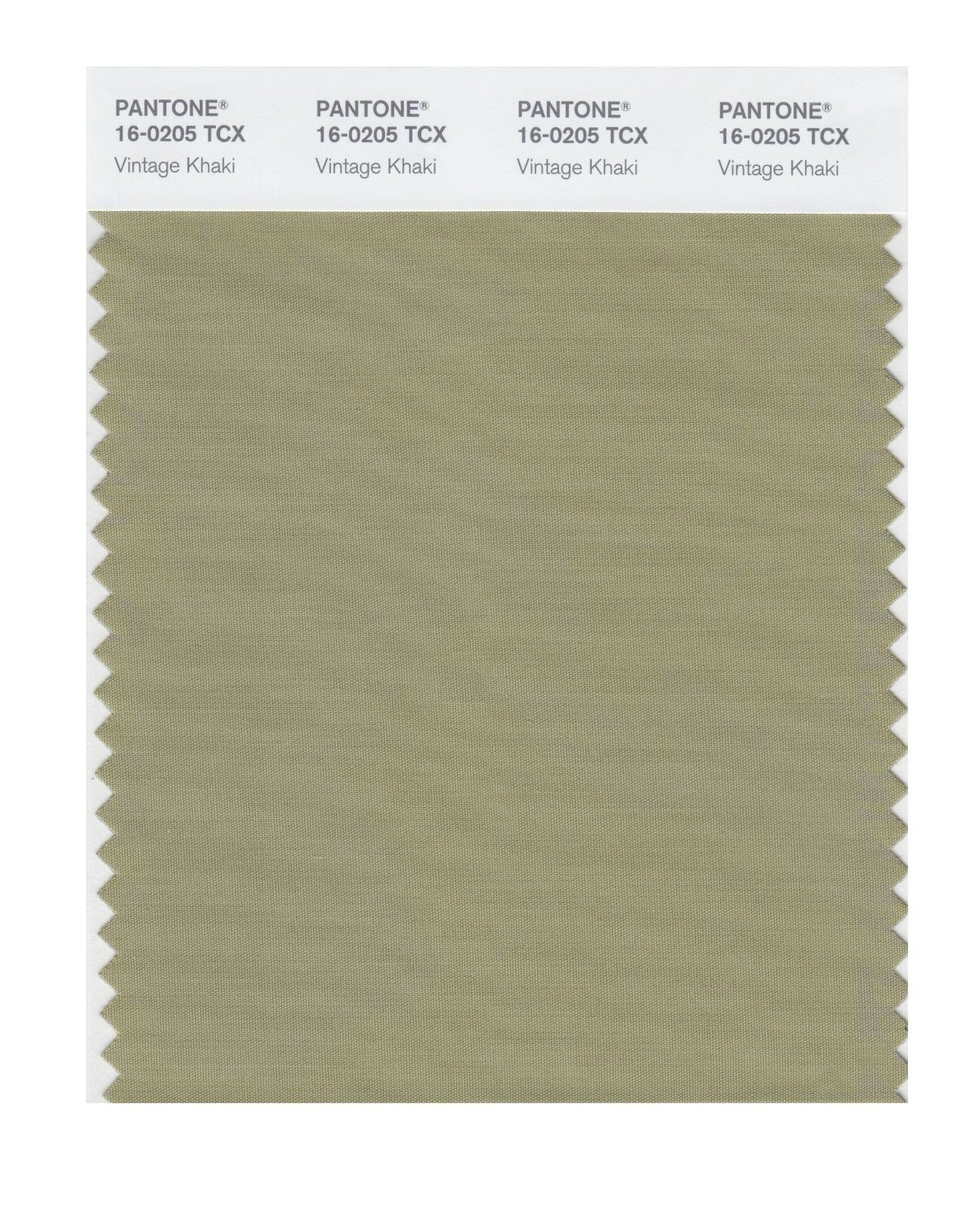 Pantone 16-0205 TCX Swatch Card Vintage Khaki – Design Info