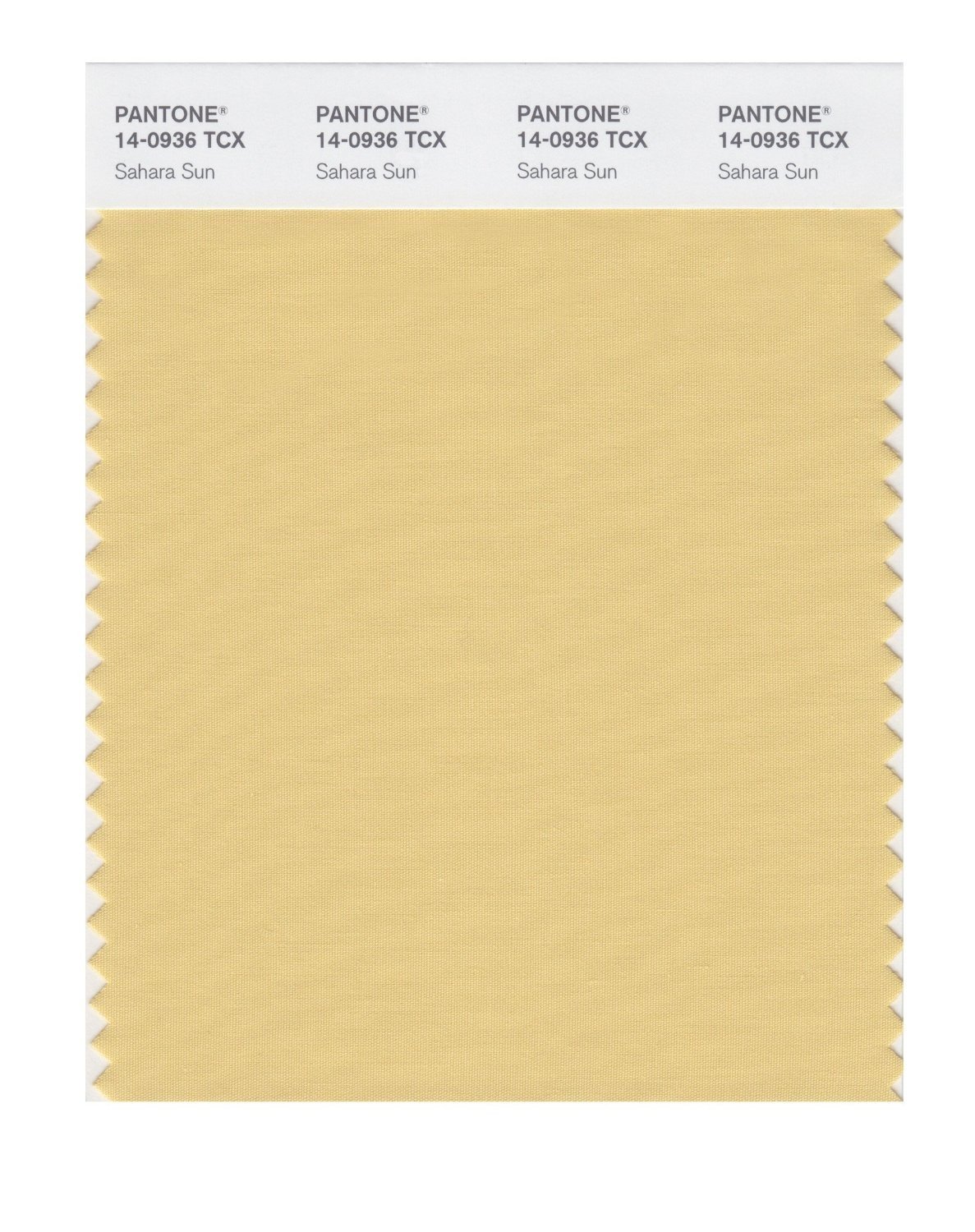 Pantone 14-0936 TCX Swatch Card Sahara Sun – Design Info