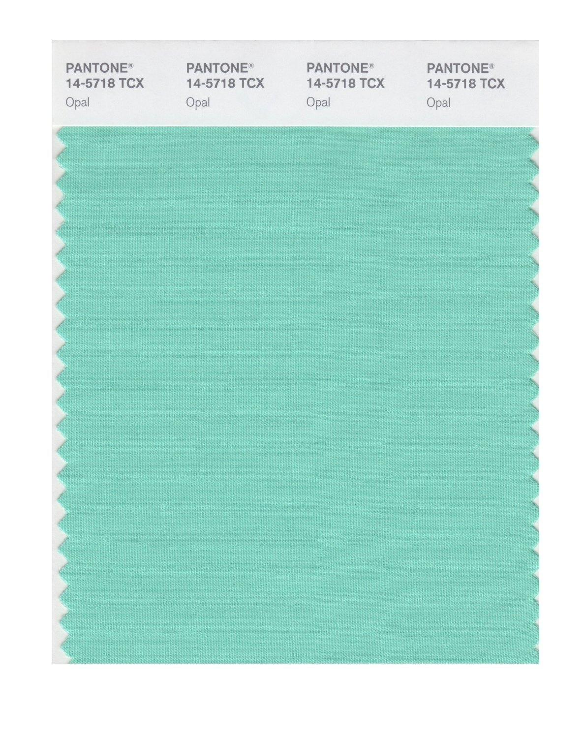 Pantone 14-5718 TCX Swatch Card Opal – Design Info